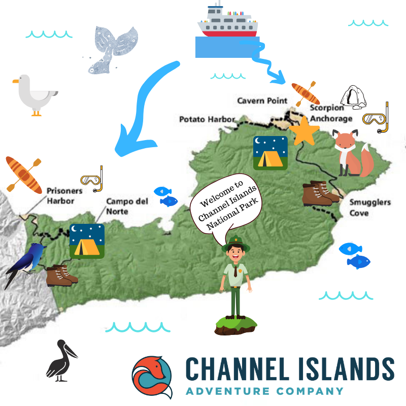 Visual Guide to Santa Cruz Island - Channel Islands Adventure Company ...